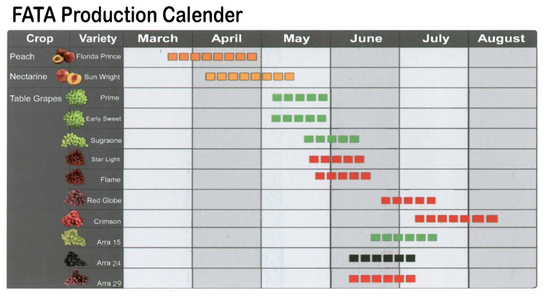 Production Calendar – Fata